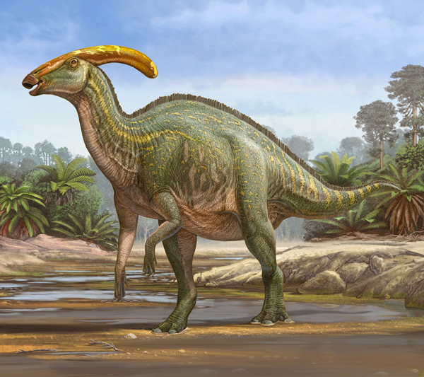 Иллюстрация Parasaurolophus tubicen в стиле реализм
