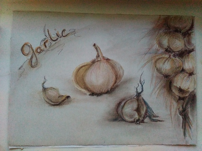 Иллюстрация garlic в стиле 2d, скетчи | Illustrators.ru