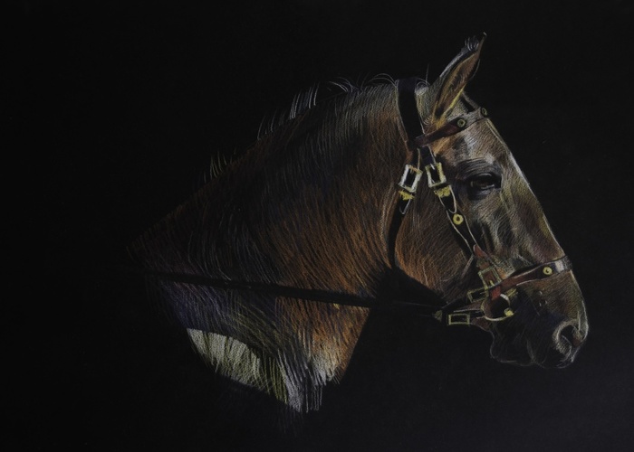 Иллюстрация конь в стиле 2d | Illustrators.ru