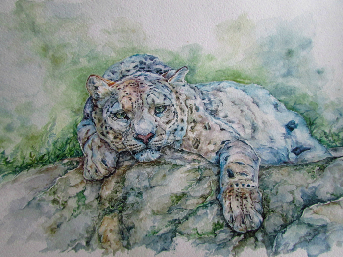 Иллюстрация Snow leopard в стиле 2d | Illustrators.ru