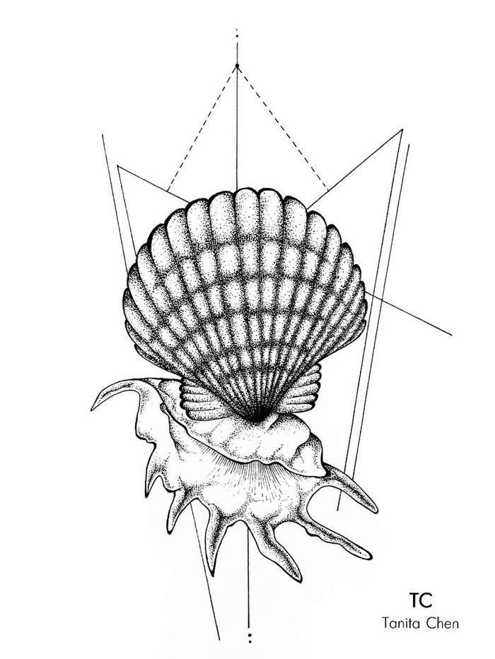 Иллюстрация Shell 3 в стиле 2d, графика, книжная графика