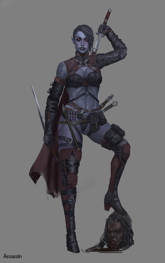 Иллюстрация Dark elf assassin в стиле 2d, cg, персонажи
