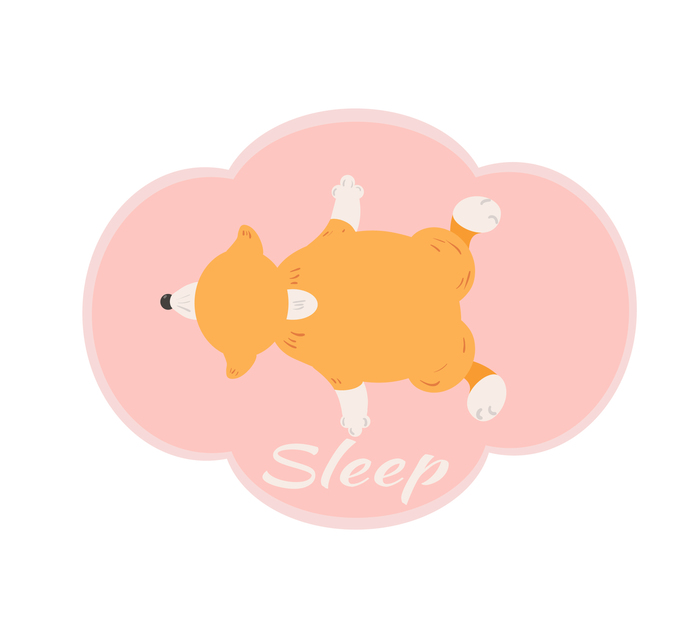 Иллюстрация Sleep в стиле 2d, компьютерная графика