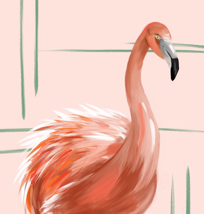 Иллюстрация Pink flamingo в стиле 2d, cg, компьютерная графика