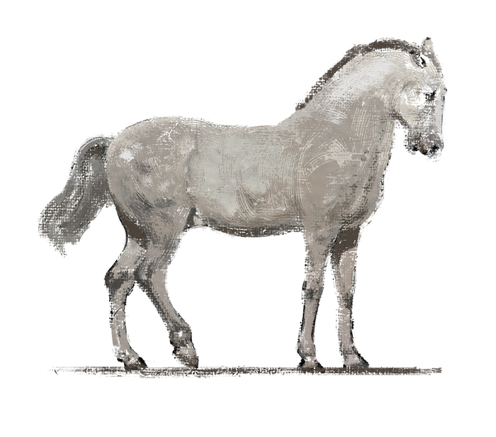 Иллюстрация Лошадка в стиле 2d, детский | Illustrators.ru