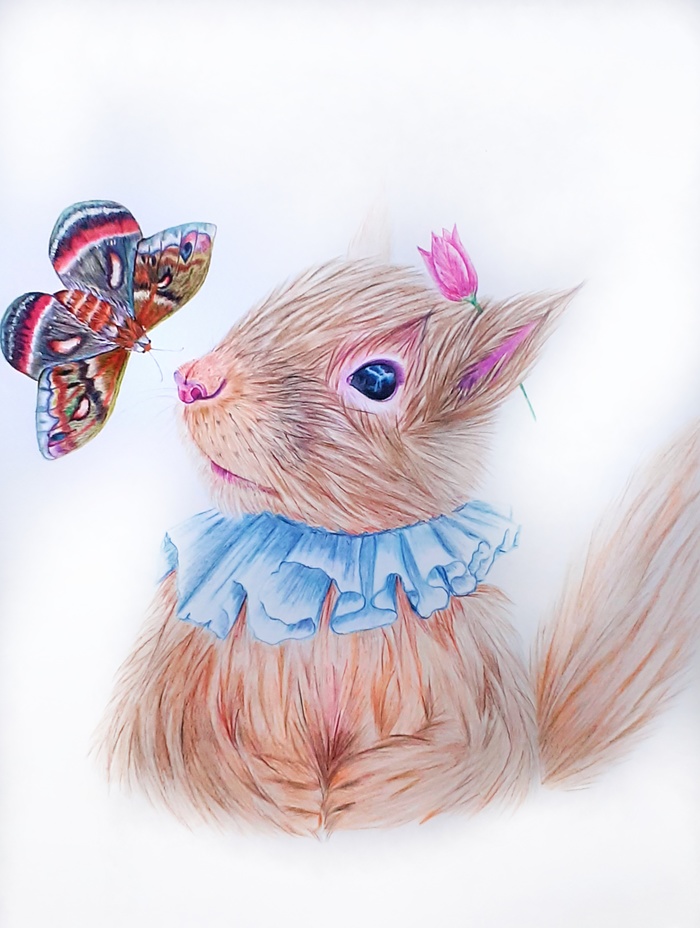 Иллюстрация Белочка и бабочка | Illustrators.ru