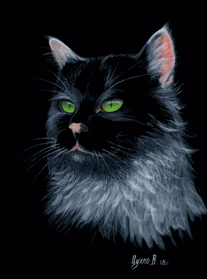 Иллюстрация Маркиз | Illustrators.ru