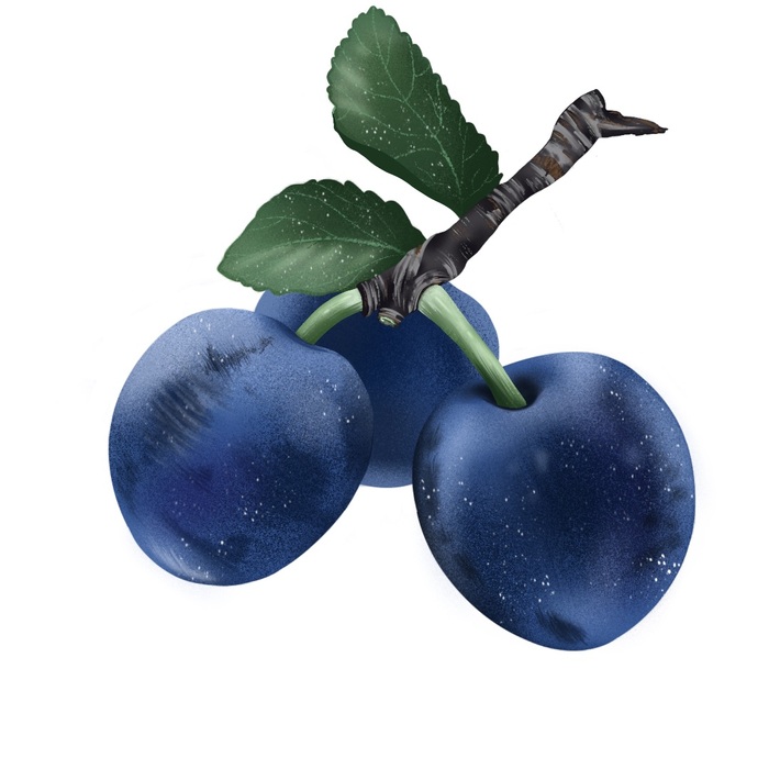 Иллюстрация Plum в стиле 2d | Illustrators.ru