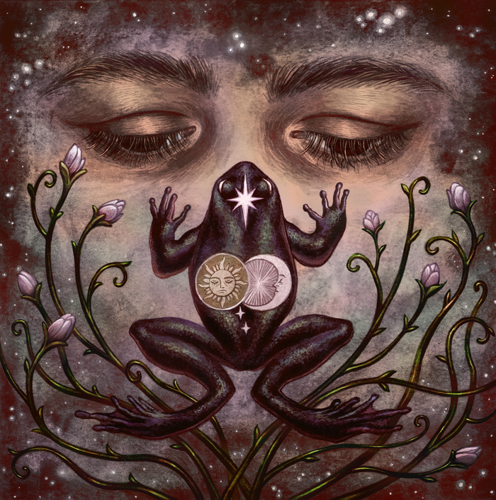 Иллюстрация Space Frog | Illustrators.ru