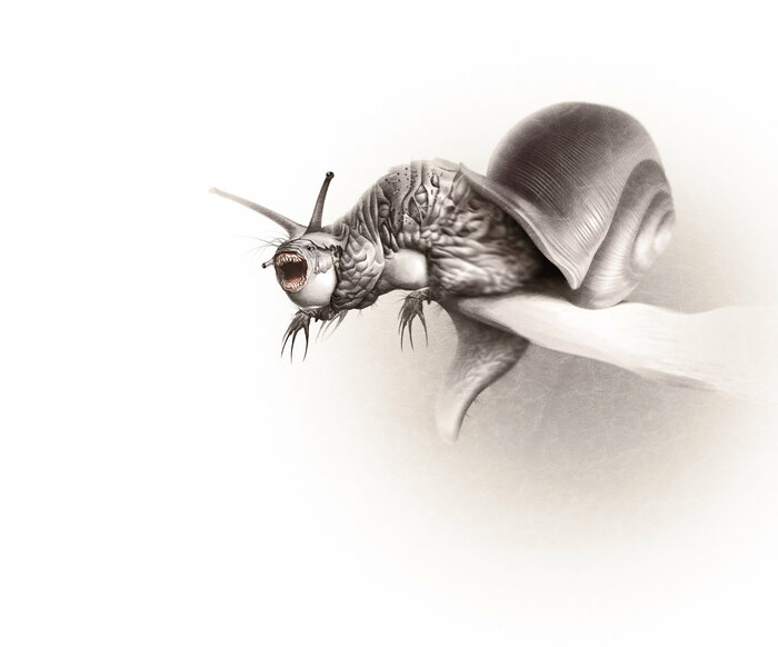 Иллюстрация Snail в стиле 2d | Illustrators.ru