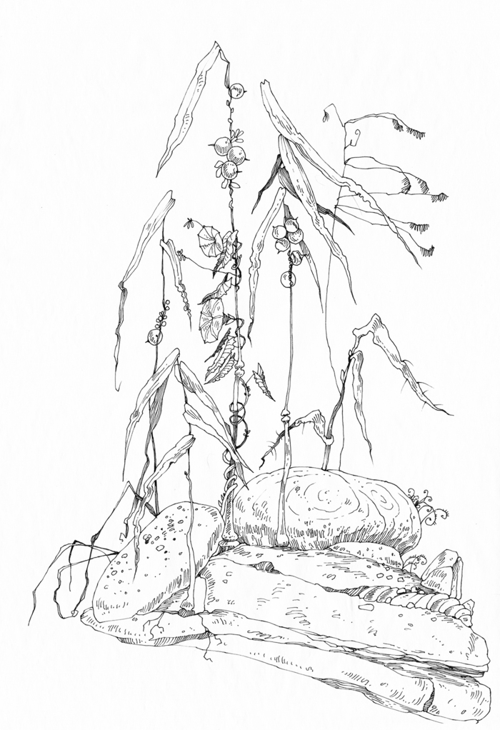 Иллюстрация Растения 7 | Illustrators.ru