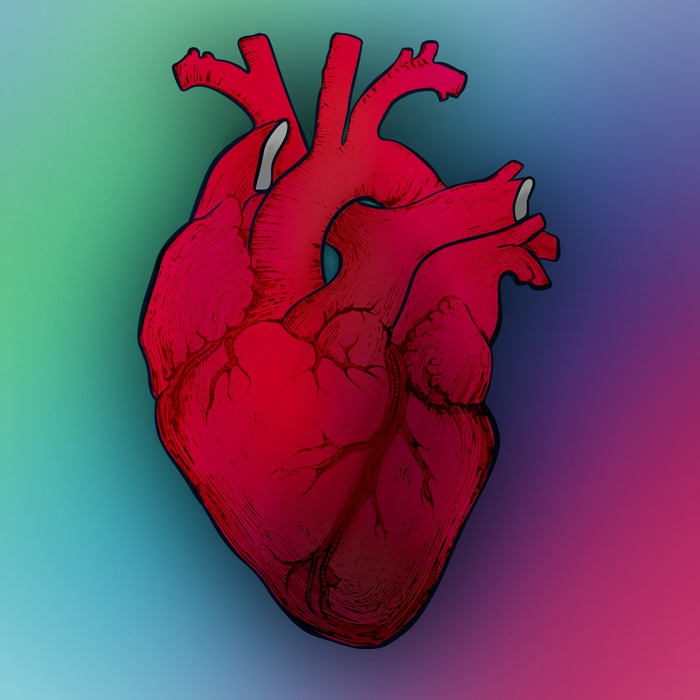 Иллюстрация Heard,Сердце в стиле 2d, компьютерная графика, скетчи