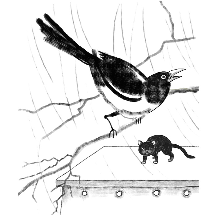Иллюстрация Crow and cat в стиле 2d, книжная графика, компьютерная