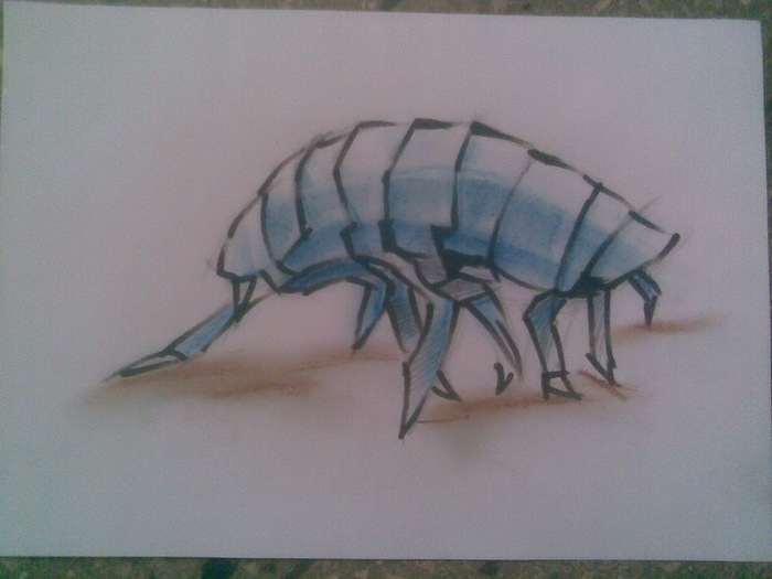 Ten Legged Fleas Drawing