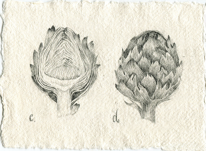 Иллюстрация ghjkl.jpg в стиле классика | Illustrators.ru