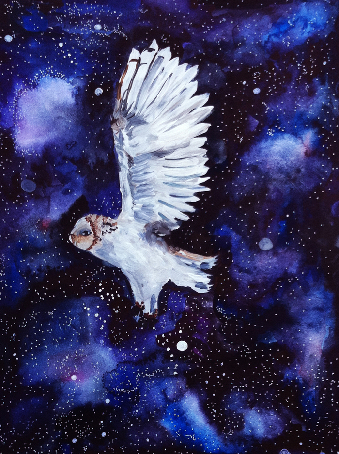 Иллюстрация Owl_in_space.jpg в стиле классика | Illustrators.ru