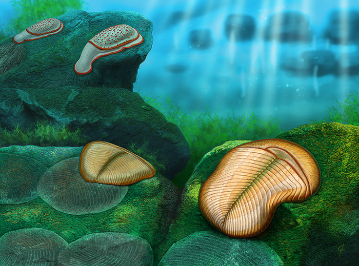 Иллюстрация Вендские организмы в стиле 2d, другое | Illustrators.ru