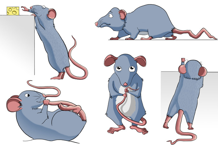Иллюстрация rats в стиле 2d, анимационный, детский