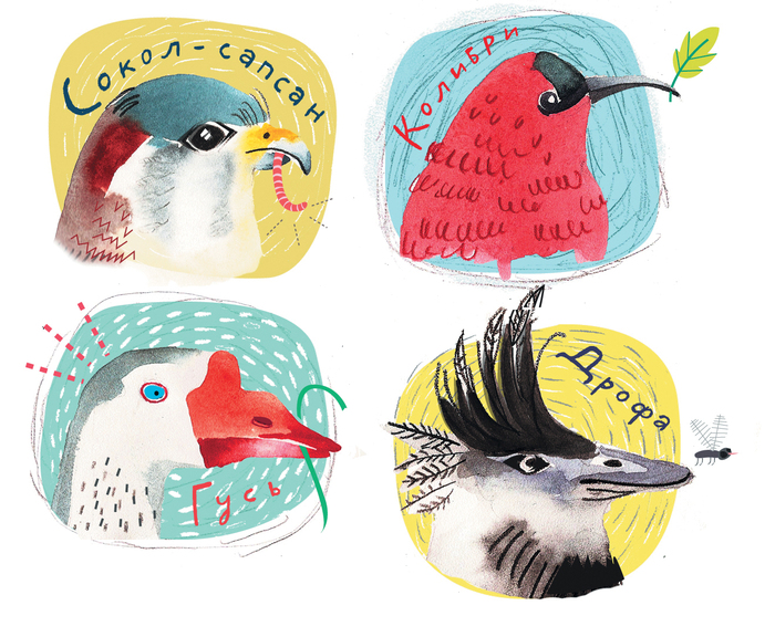 Иллюстрация "Почему птицы не падают".Из-во "Розовый