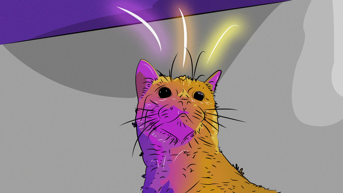 кот арт в стиле Графика, Декоративный, Животные на Illustrators.ru